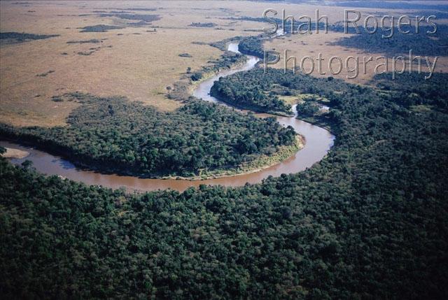 Aerial view of meandering river through forest, Maasai Mara National ...