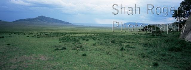 Short grass plains, Ngorongoro Conservation area, Tanzania